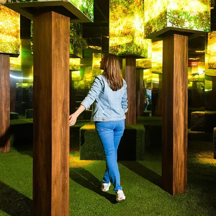 Dopamine Land Jersey City: A Multi Sensory Experience